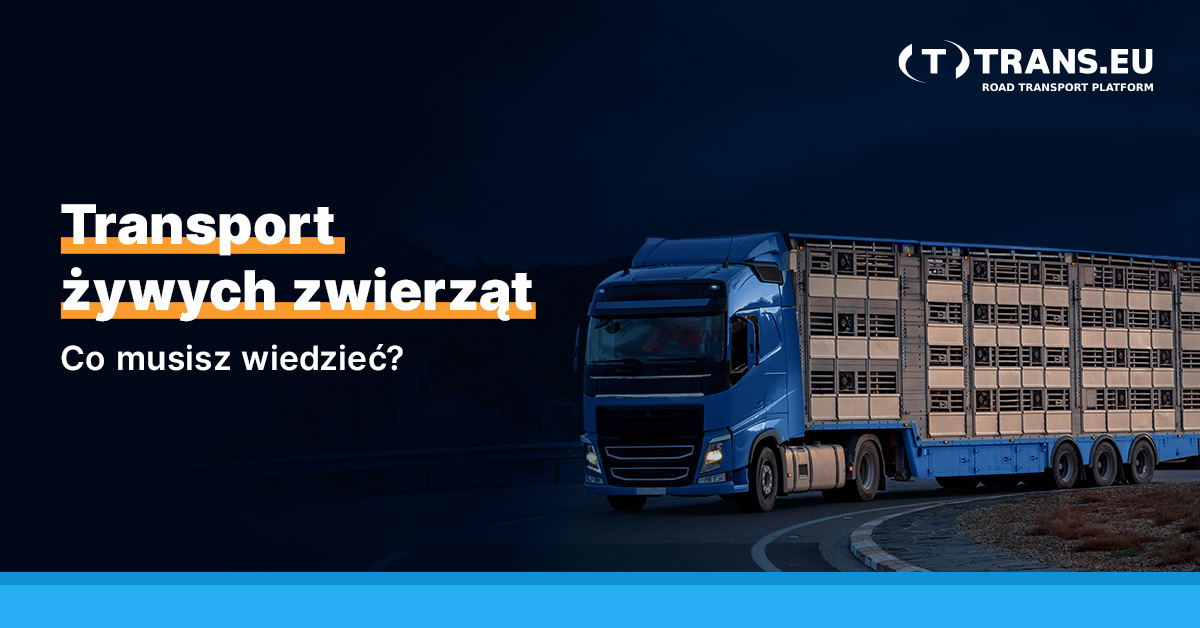 Transport żywych zwierząt - Trans For Carriers