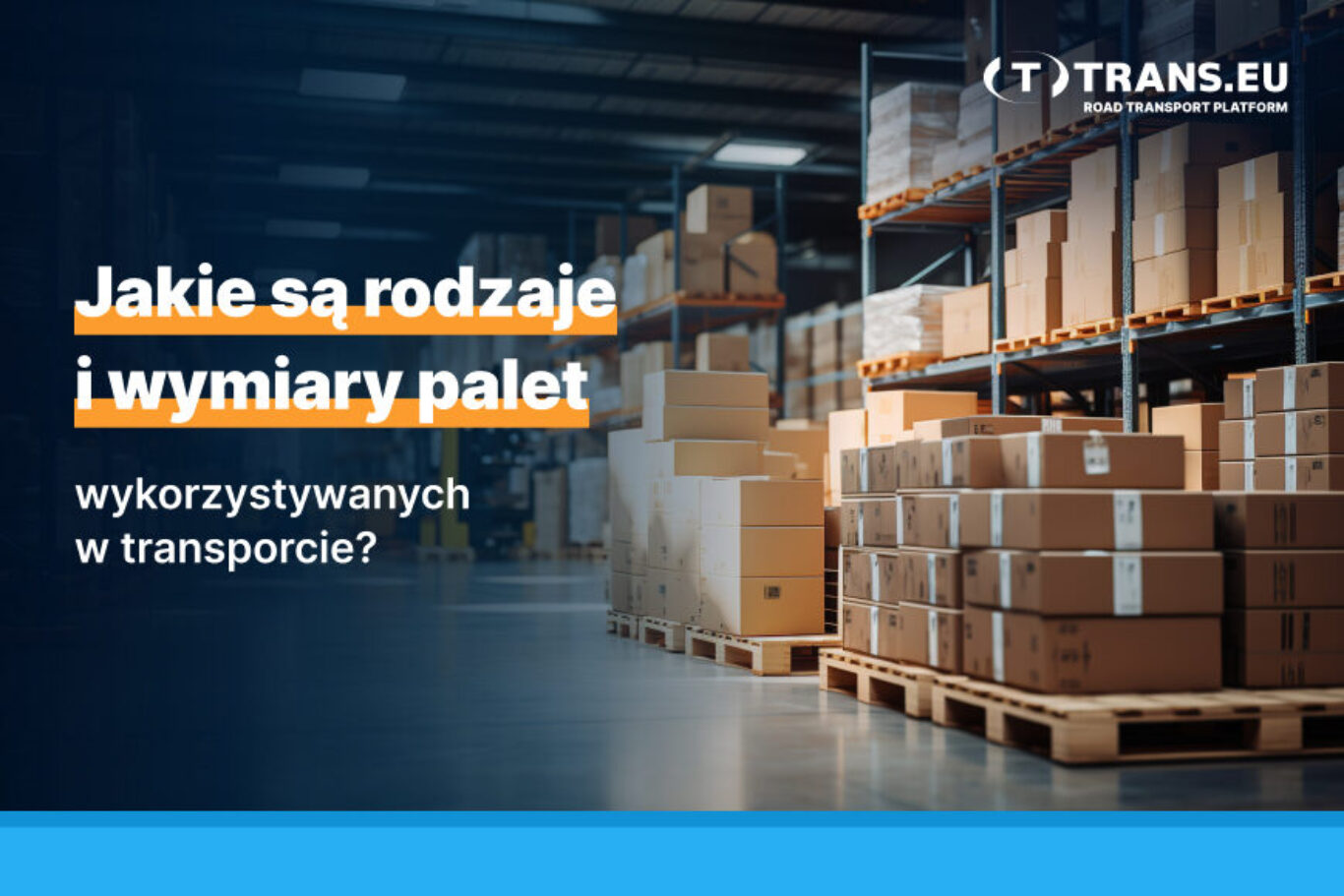 Jakie są rodzaje i wymiary palet wykorzystywanych w transporcie ...